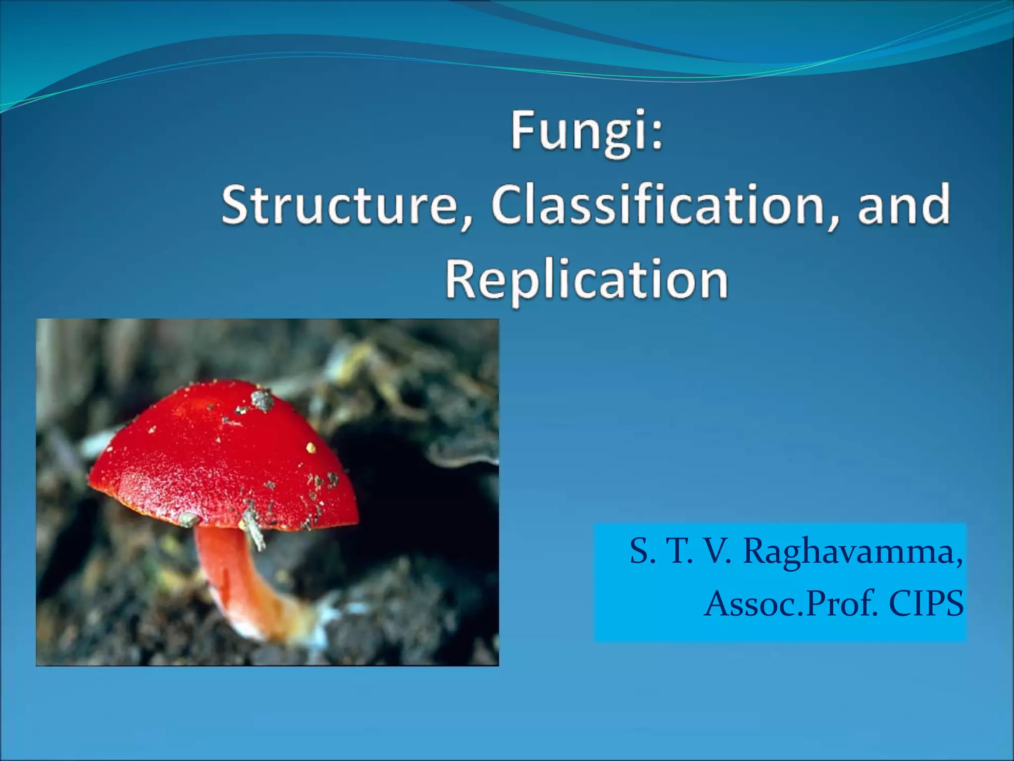 (10) Fungal Classification, Structure, and Replication.ppt