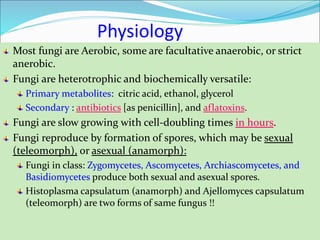 (10) Fungal Classification, Structure, and Replication.ppt