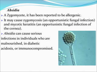 (10) Fungal Classification, Structure, and Replication.ppt