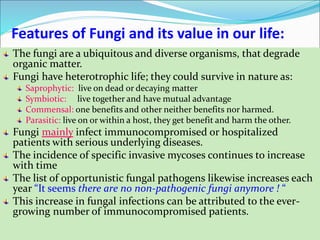 (10) Fungal Classification, Structure, and Replication.ppt