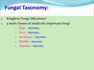 (10) Fungal Classification, Structure, and Replication.ppt