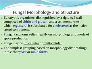 (10) Fungal Classification, Structure, and Replication.ppt