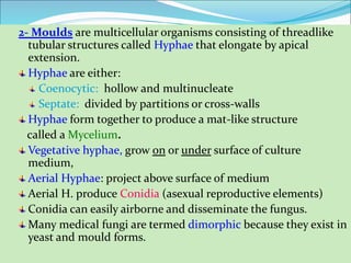 (10) Fungal Classification, Structure, and Replication.ppt