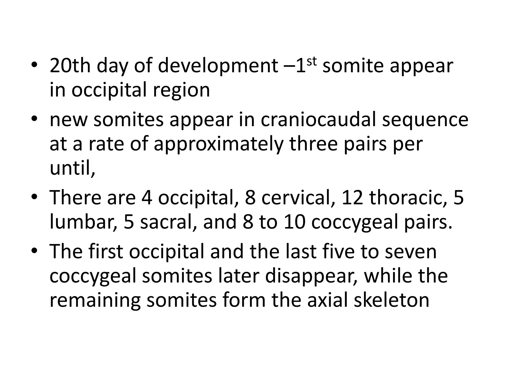 10 general embryology & musculoskeletal system 13:05 | PPTX