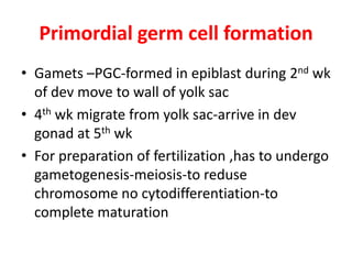 10 general embryology & musculoskeletal system 13:05 | PPTX