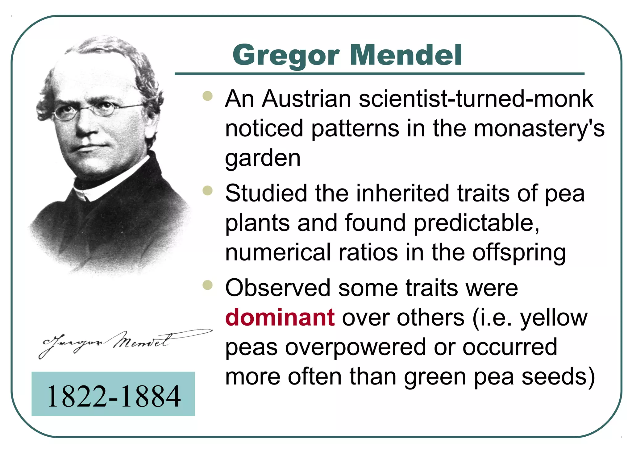 Intro to Genetics | PPT