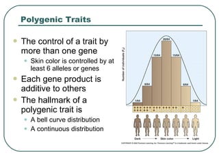 Intro to Genetics | PPT