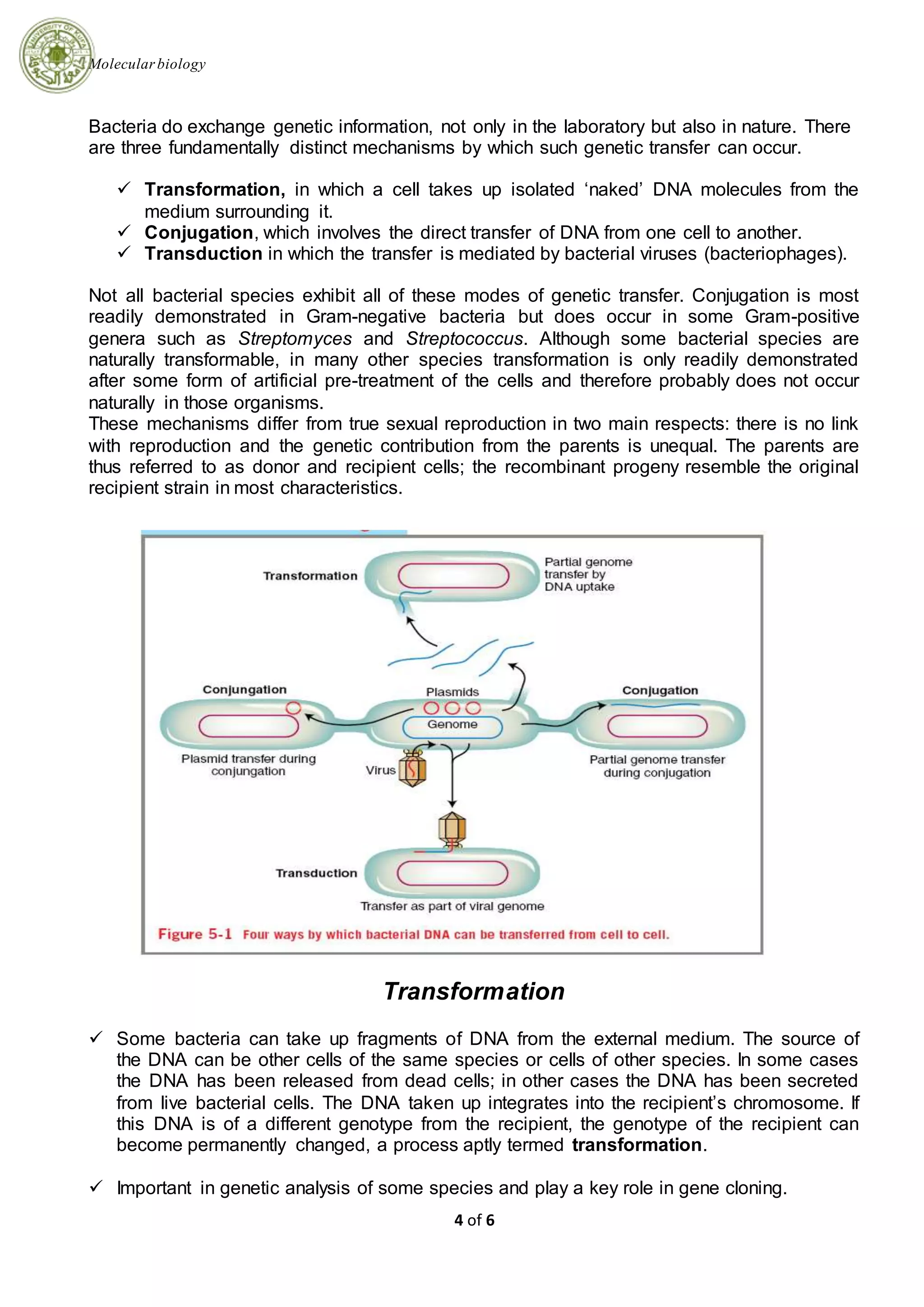 Gene transfer | DOC | Biological Sciences | Science