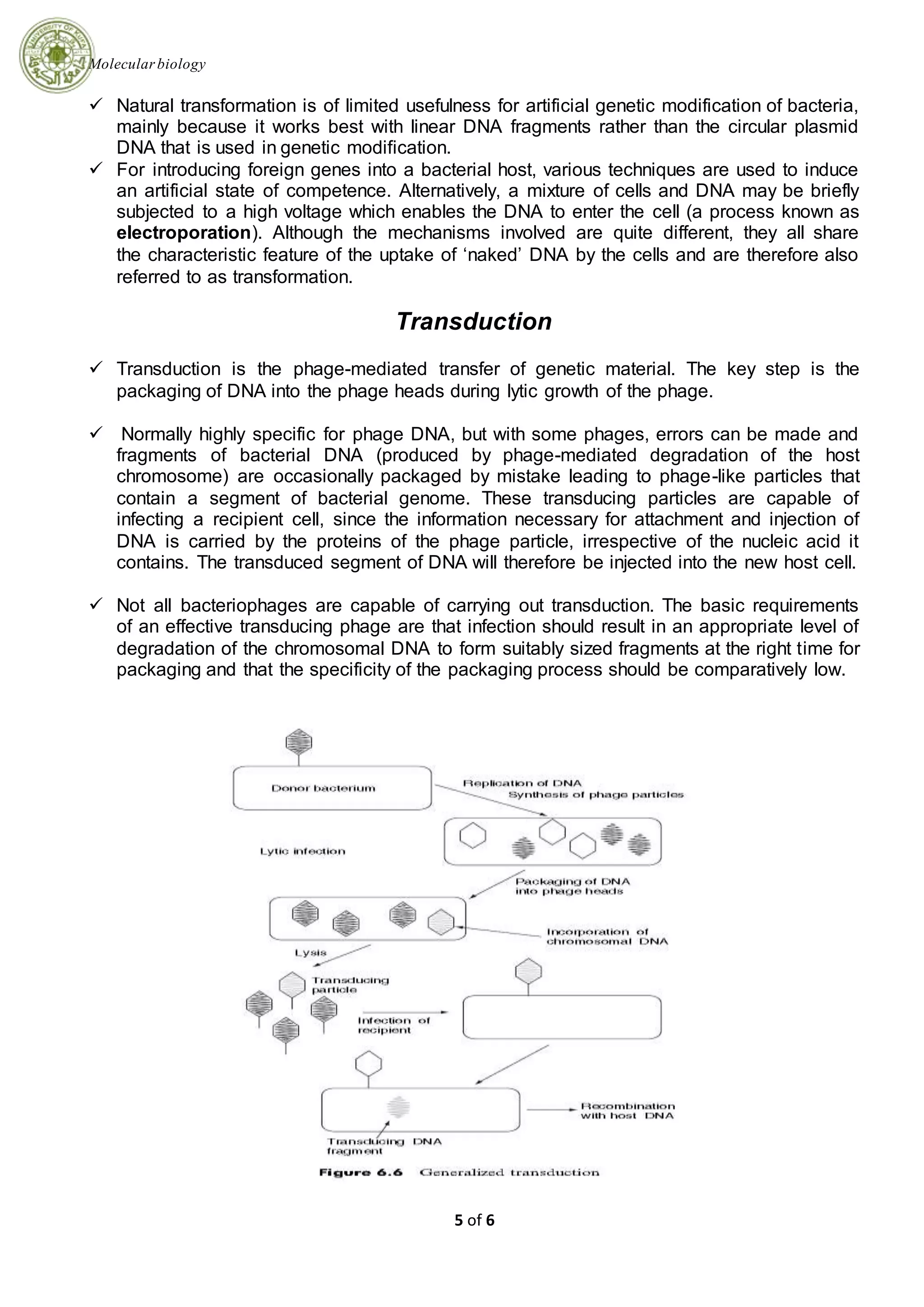 Gene transfer | DOC | Biological Sciences | Science