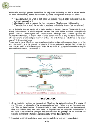 Gene transfer | DOC | Biological Sciences | Science