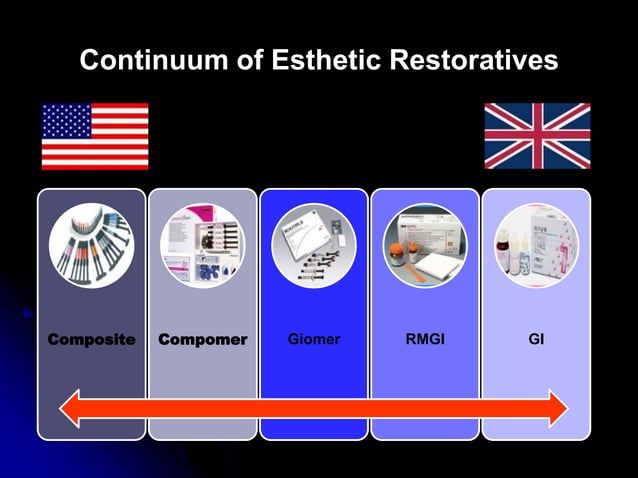 glass ionomer Metal-Modified GIC Resin-Modified GIC dental material | PPS