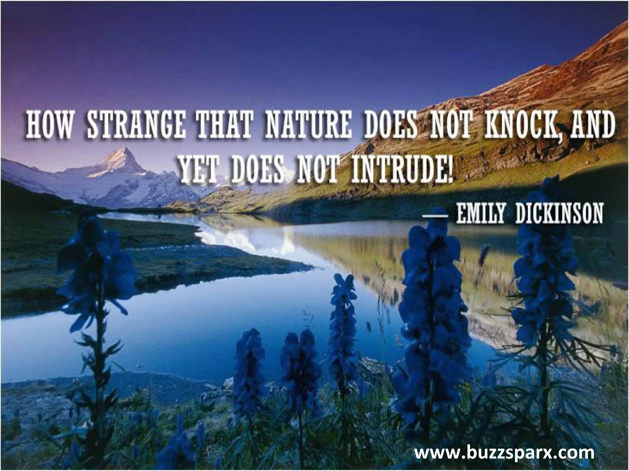 10 Great Quotes On Nature | PPT