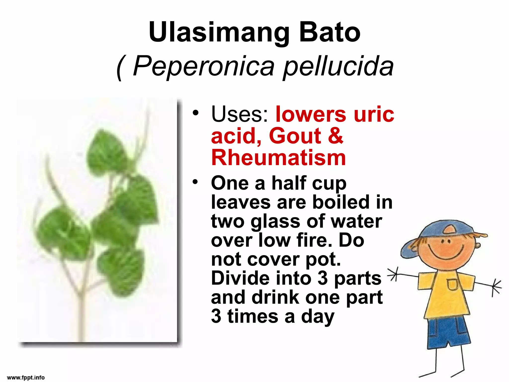 10 herbal medicines approved by the doh | PPT