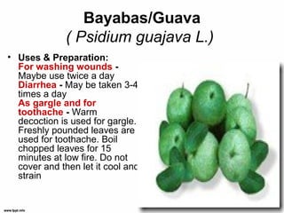 10 herbal medicines approved by the doh | PPT