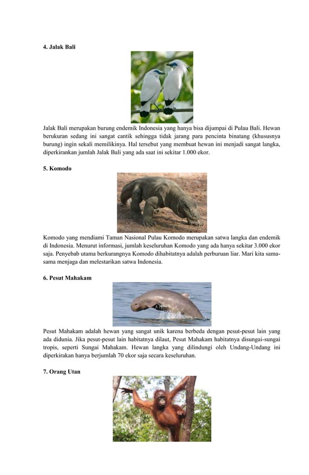 10 hewan langka | PDF