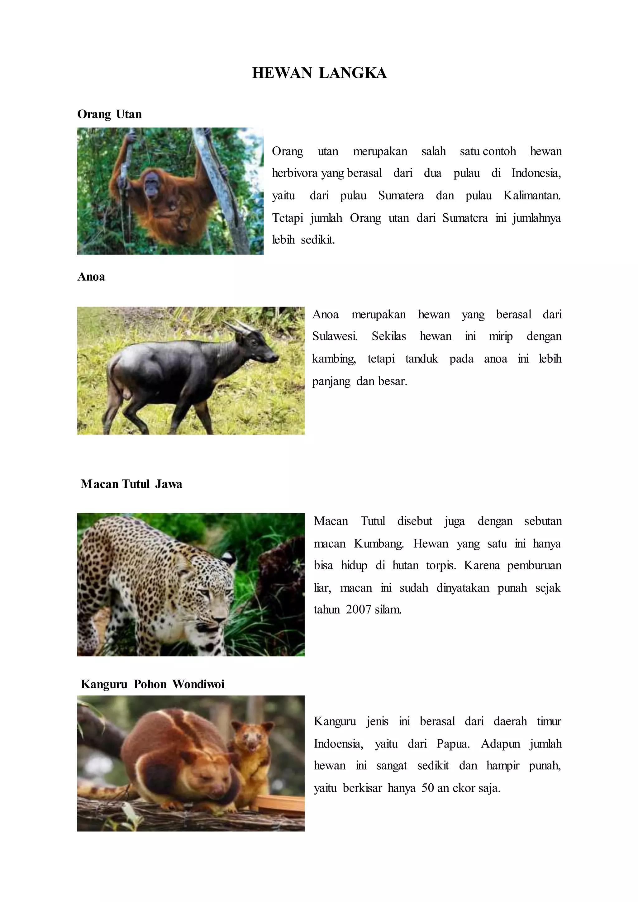 10 hewan langka | PDF