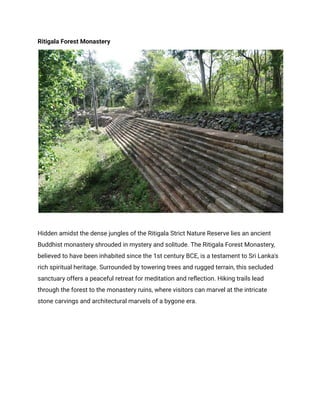 10 Hidden Gems in Sri Lanka_ Off-the-Beaten-Path Destinations.pdf | Asia Travel | Travel Locations