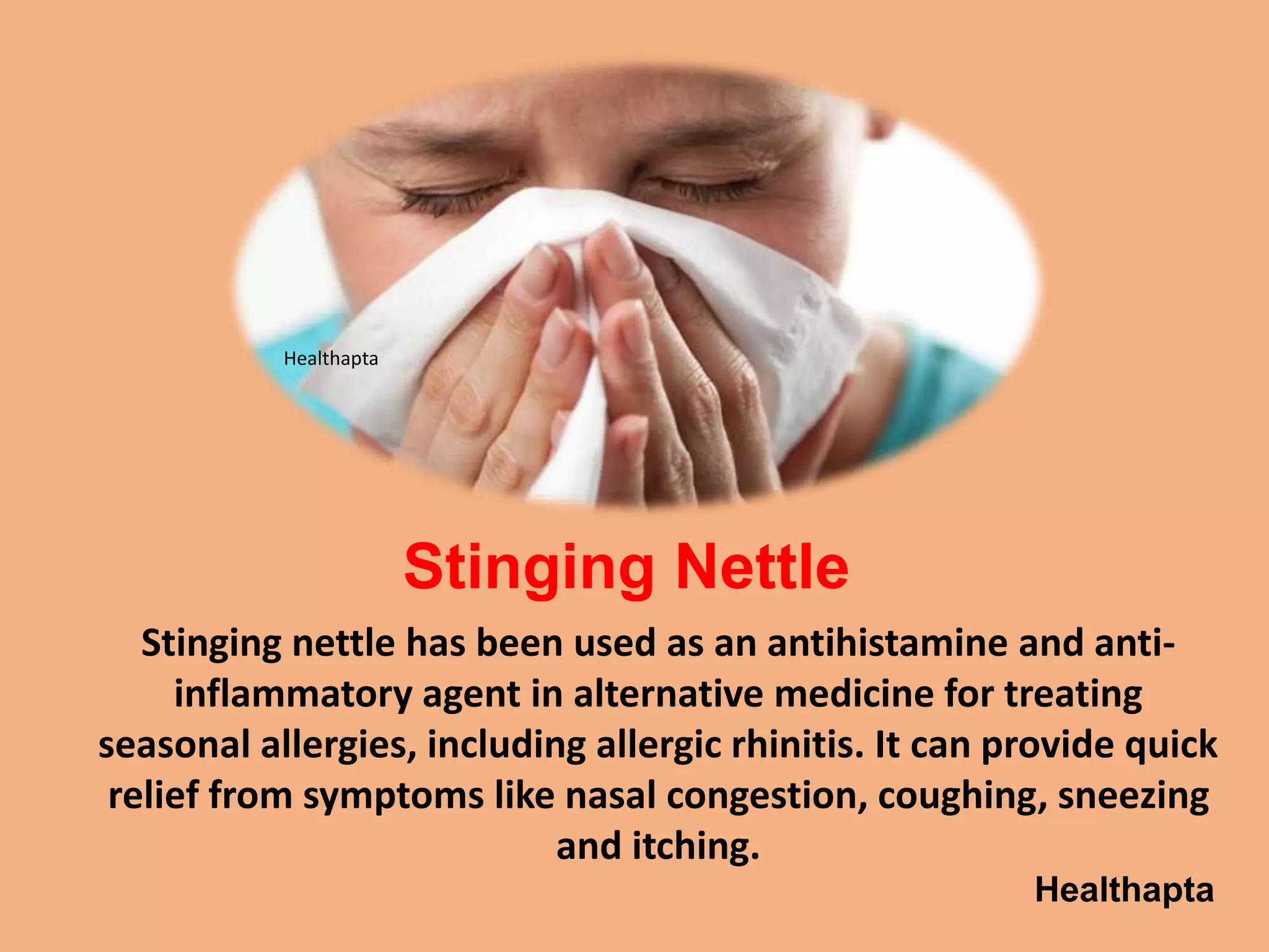 10 Home Remedies for Allergic Rhinitis | PPTX