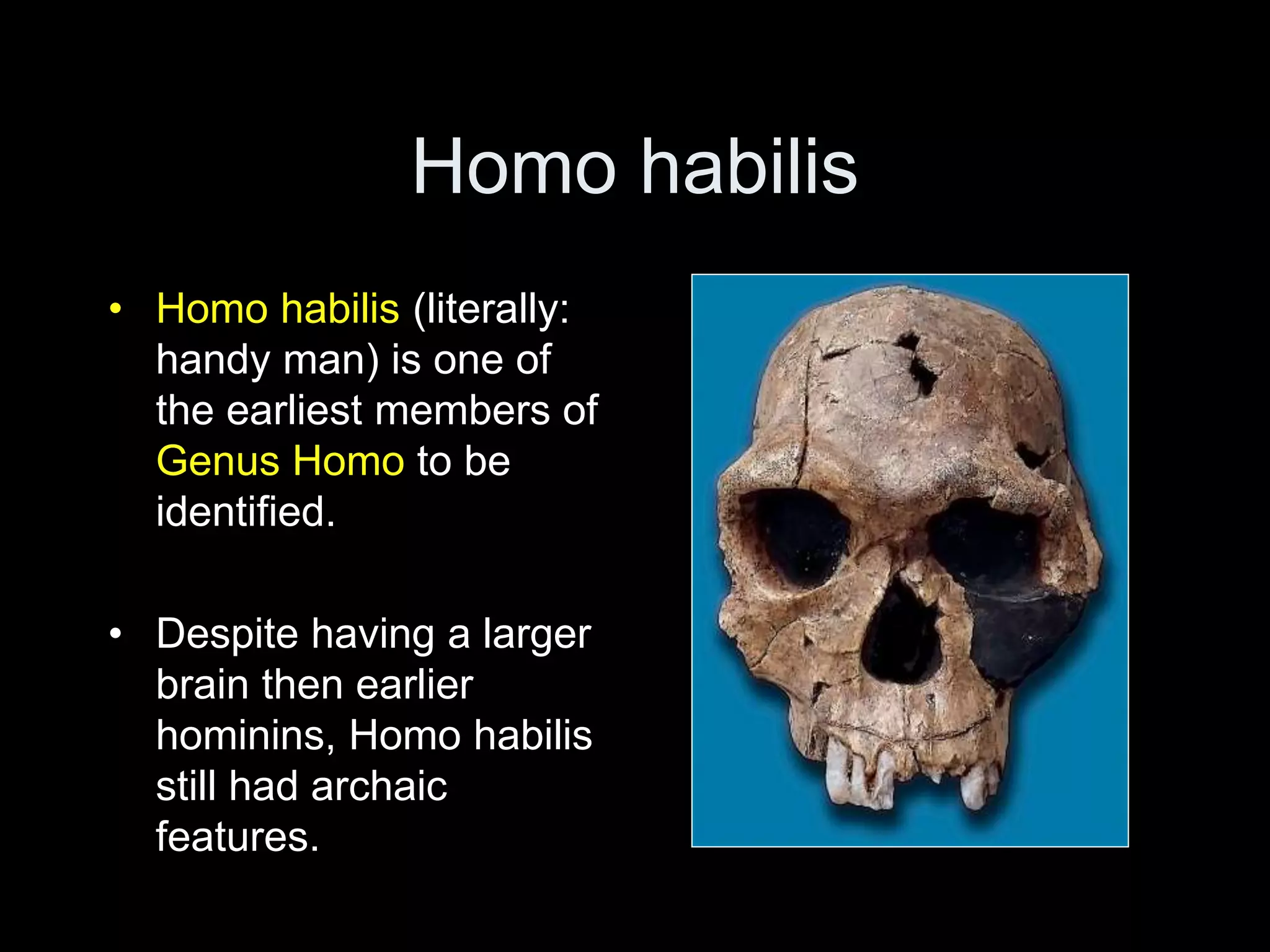 10 Genus Homo | PPTX