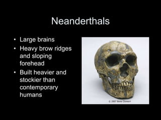 10 Genus Homo | PPTX