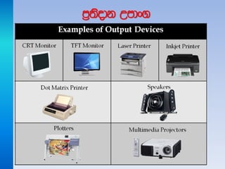 Input and Output Devicesආදාන හා ප්‍රතිදාන උපාංග | PDF
