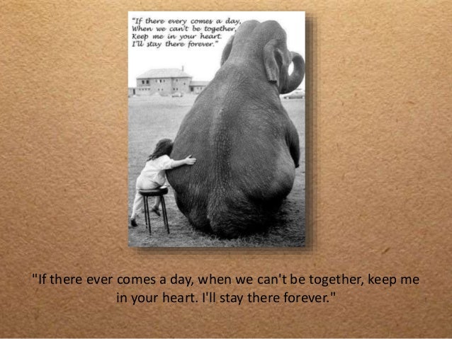 10 inspirational elephant quotes you need right now