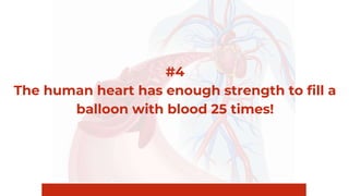 5 Interesting Heart Facts You Must Know | PPTX