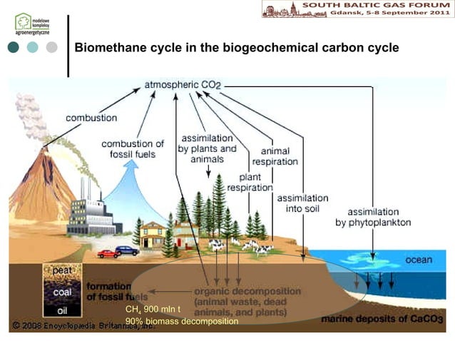4.10 - "Development of efficient methane fermentation process and ...