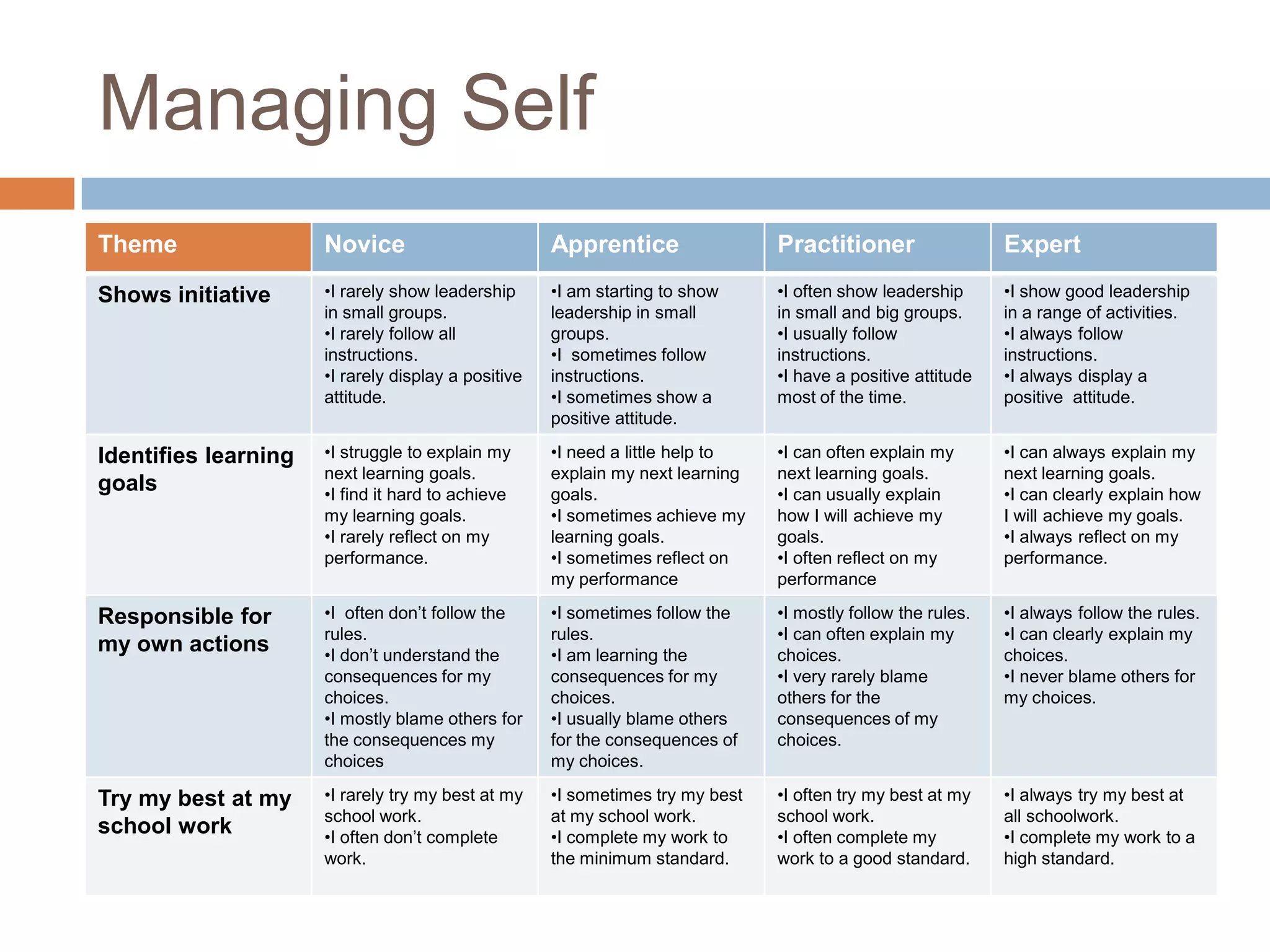 10 Key Competencies Success Rubric | PPTX