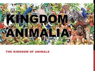 10 Kingdom Animalia.pdf
