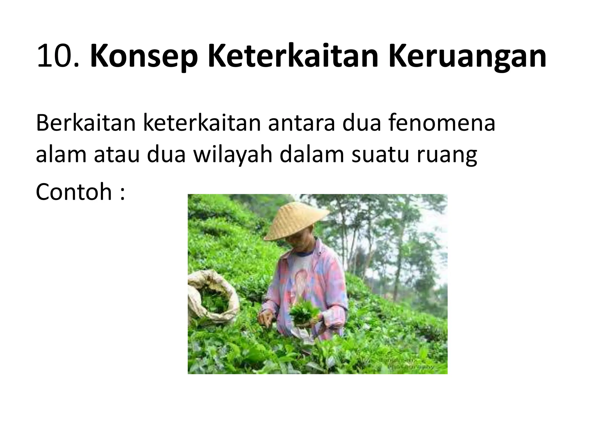 DASAR-DASAR ILMU GEOGRAFI : 10 KONSEP ESENSIAL GEOGRAFI.pptx