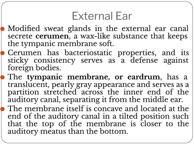 10LECTURE-Head, Eyes, Ears, Nose, and Throat-Ears.pptx.pdf