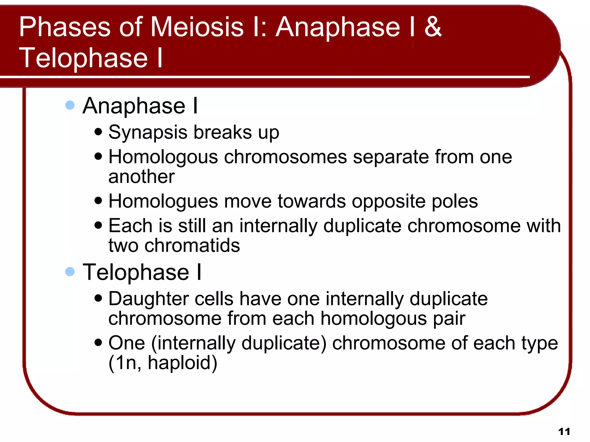 10 Lecture Animation Ppt | PPT