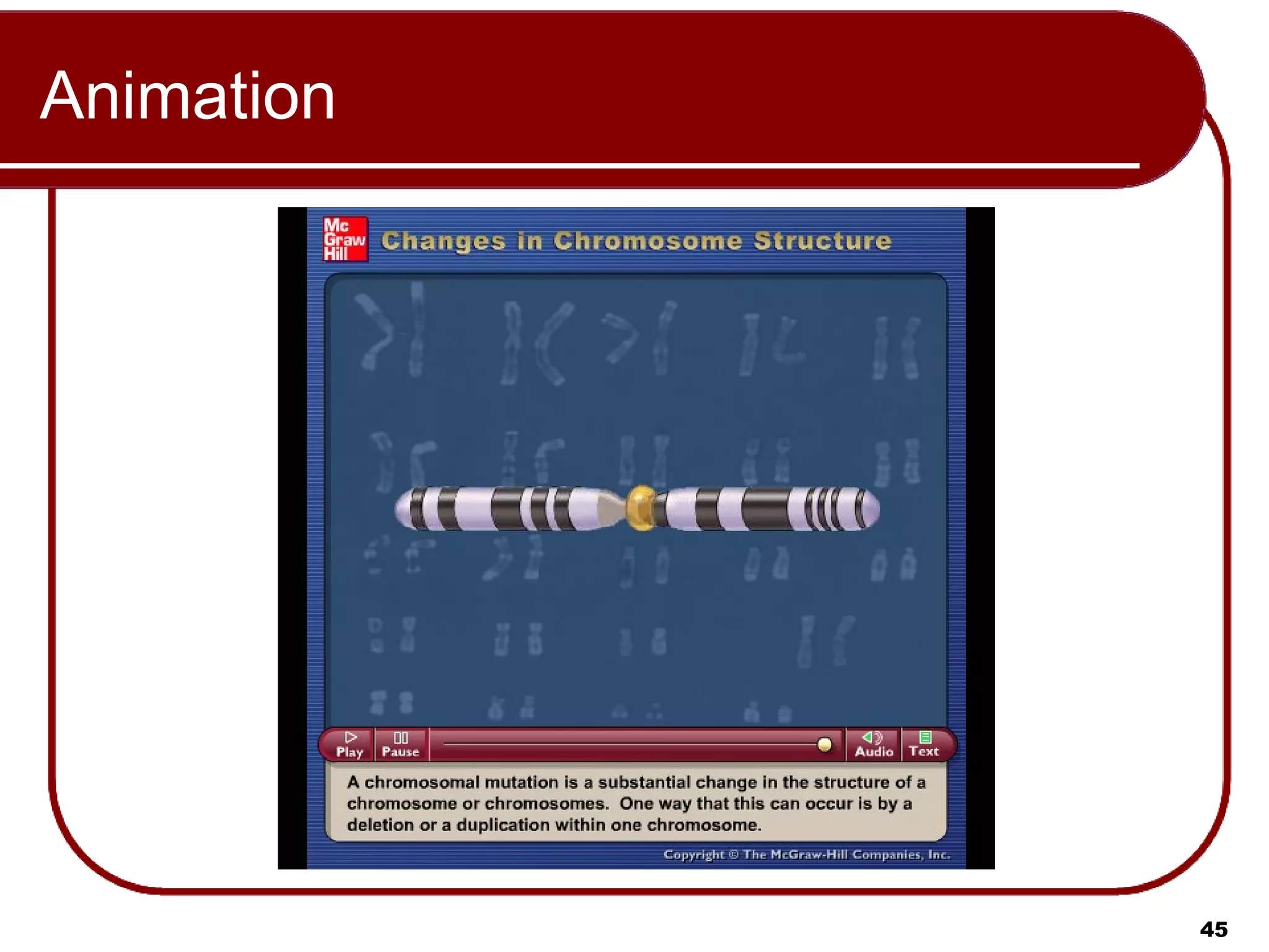10 Lecture Animation Ppt | PPT