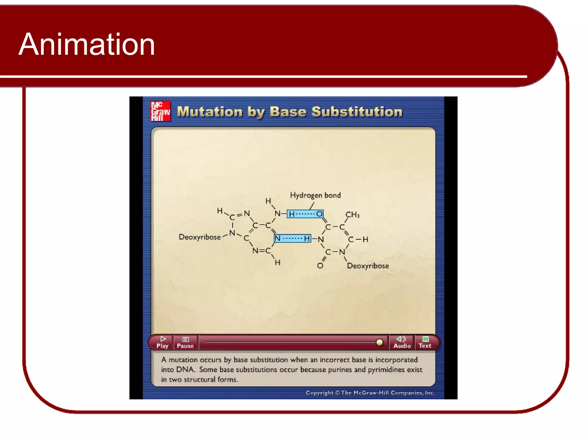 10 Lecture Animation Ppt | PPT