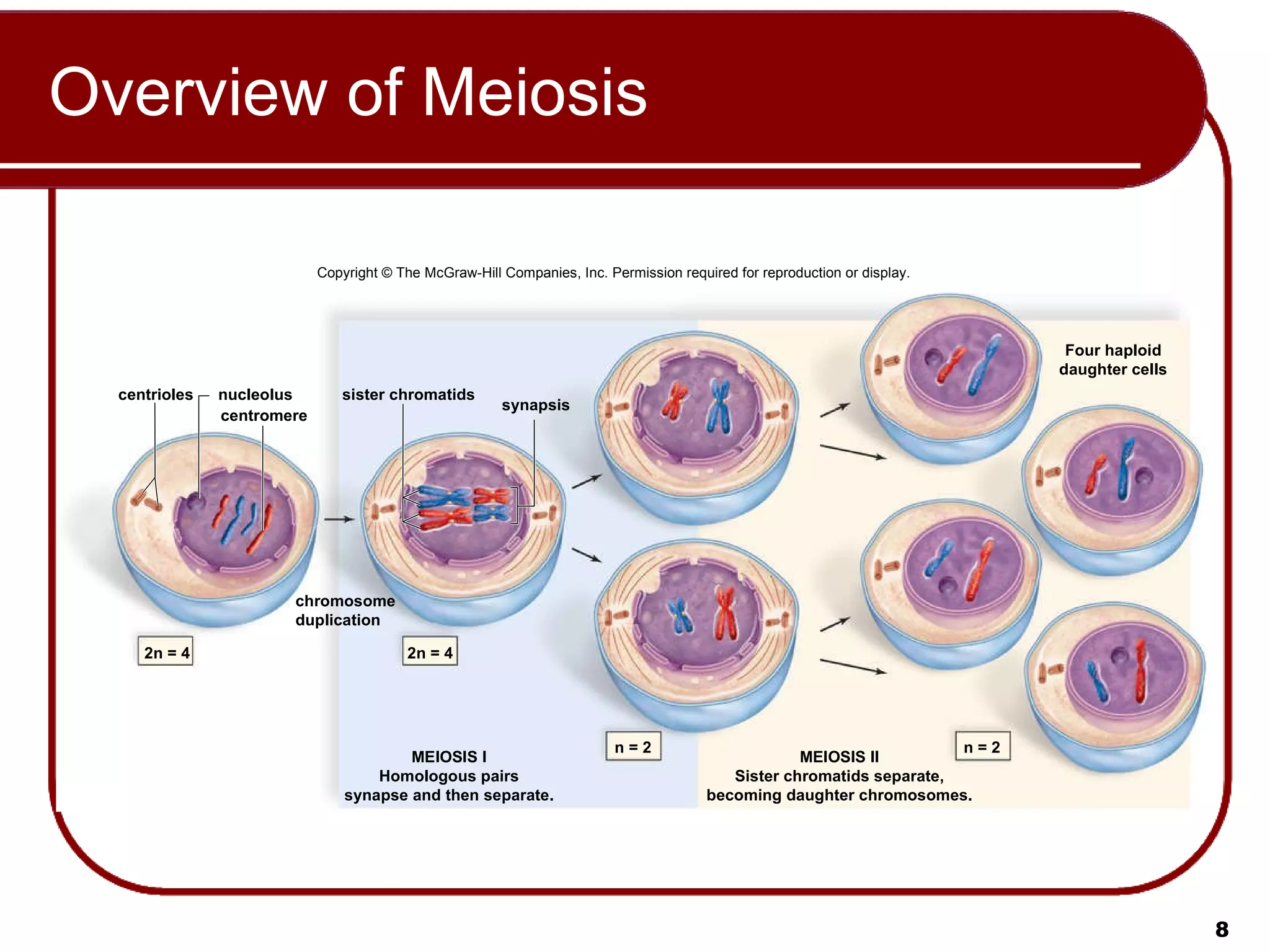 10 Lecture Animation Ppt | PPT