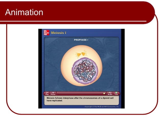 10 Lecture Animation Ppt | PPT