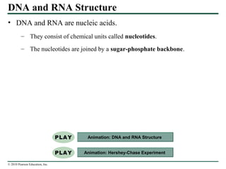 Rna Structure Animation