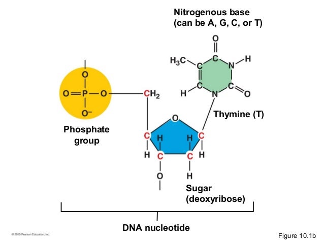 10 lecture presentation0