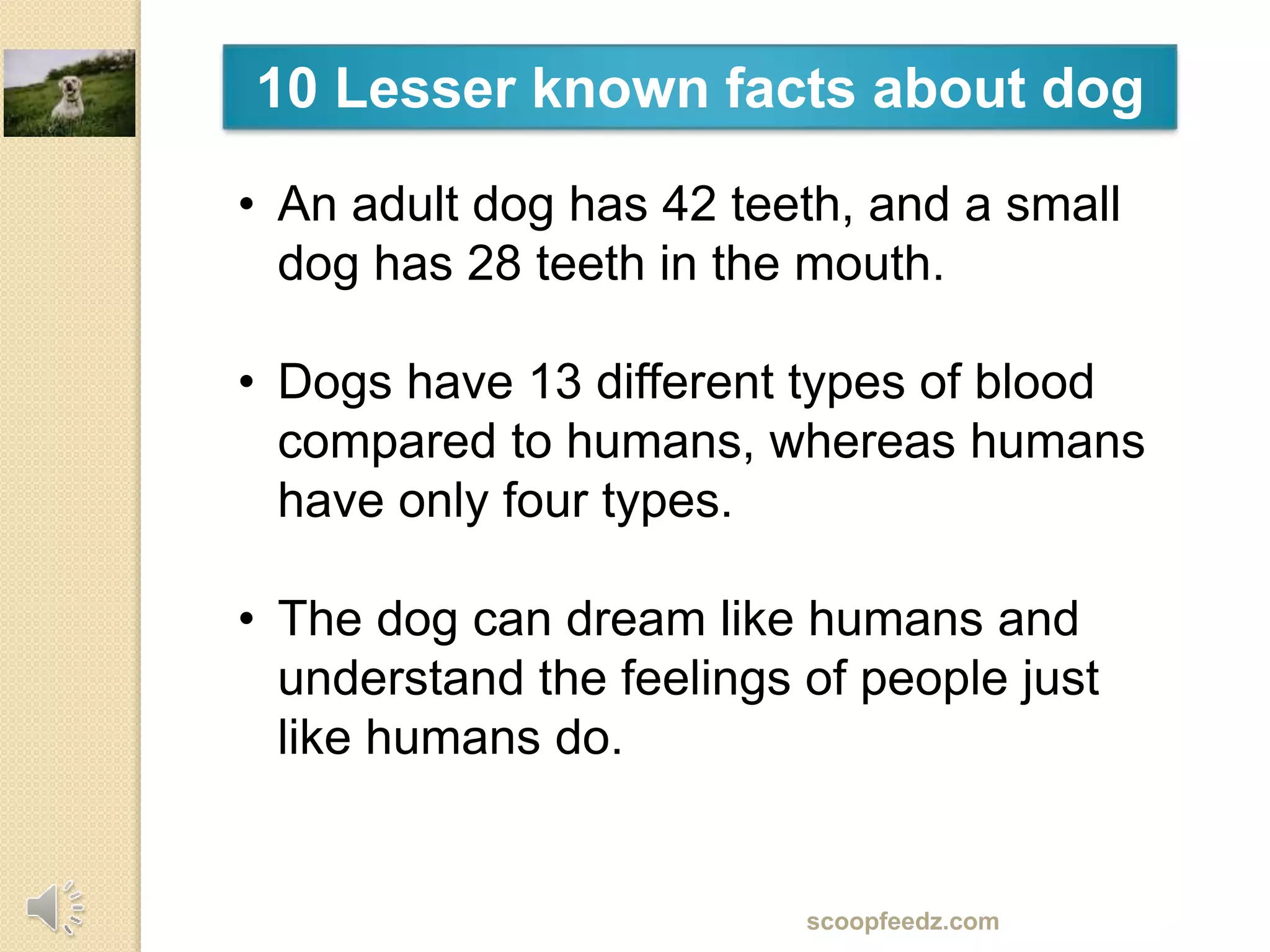 10 Lines on Dog & Interesting Facts about Dog | PPTX