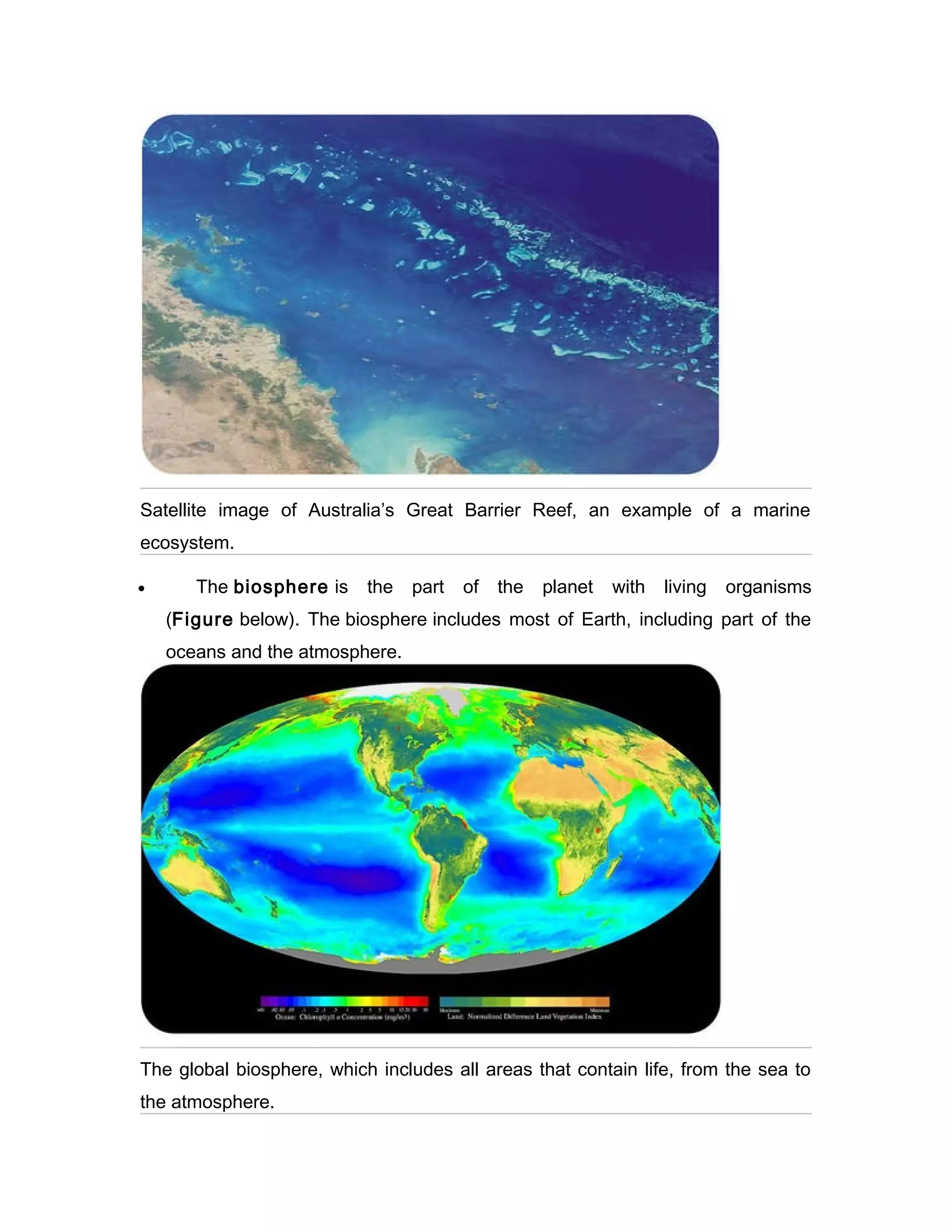 10 !!lesson plans levels of ecological organization | DOC | Biological ...