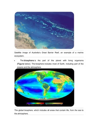 10 !!lesson plans levels of ecological organization | DOC | Biological ...
