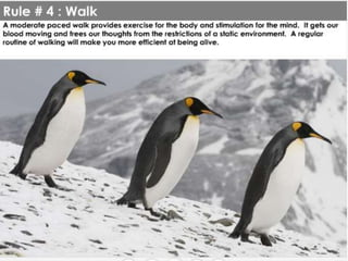 10 Life Efficiency Rules | PPSX