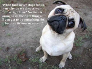 10 Life Efficiency Rules | PPSX