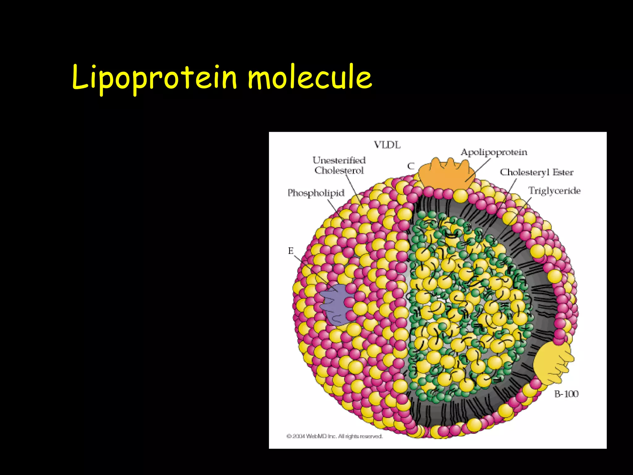 Lipoprotein metabolism | PPT