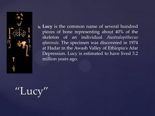 Lucy in the Sky with Diamonds | PPTX
