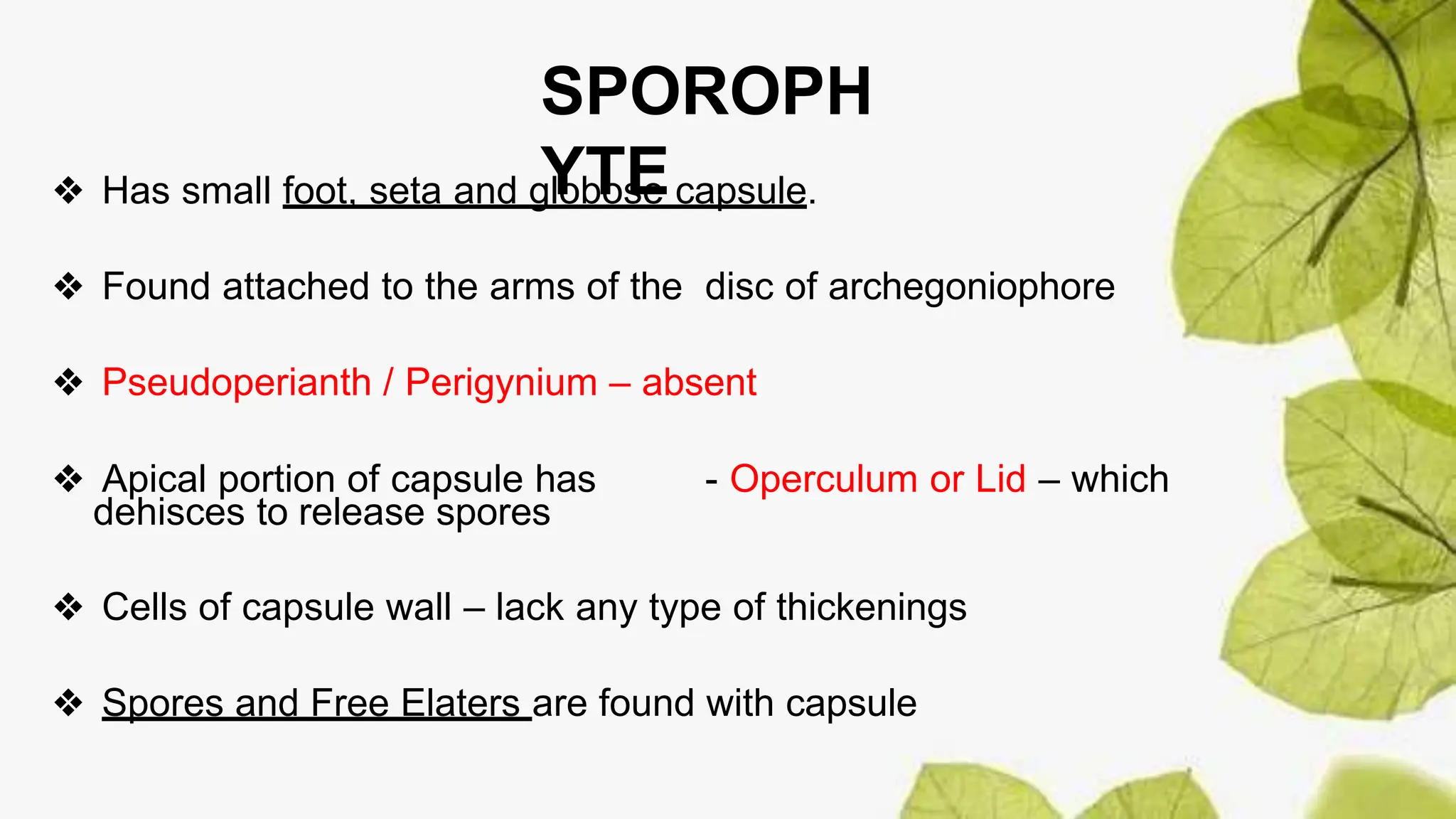 LUNULARIA -features, morphology, anatomy ,reproduction etc. | PPTX