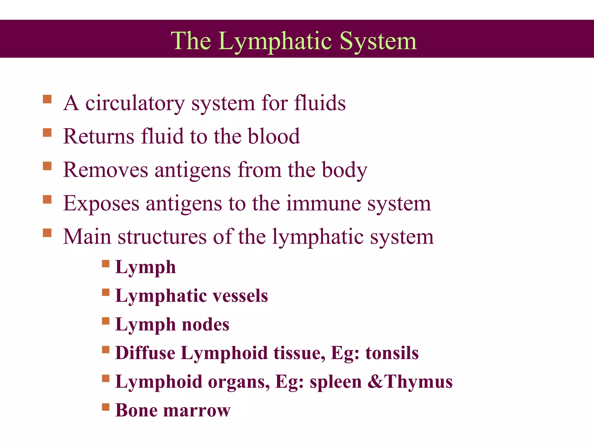 Anatomy of lymphatic system ppt | PPT