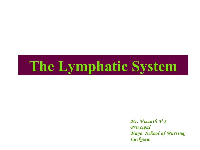 Anatomy of lymphatic system ppt | PPT