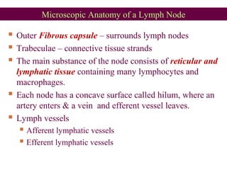 Anatomy of lymphatic system ppt | PPT